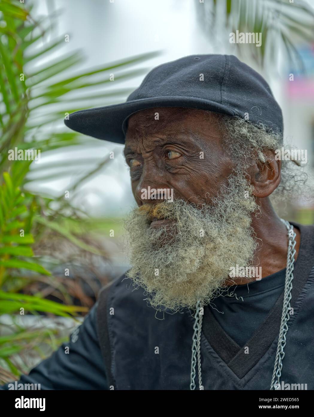 Coloured man Bermuda Stock Photo - Alamy