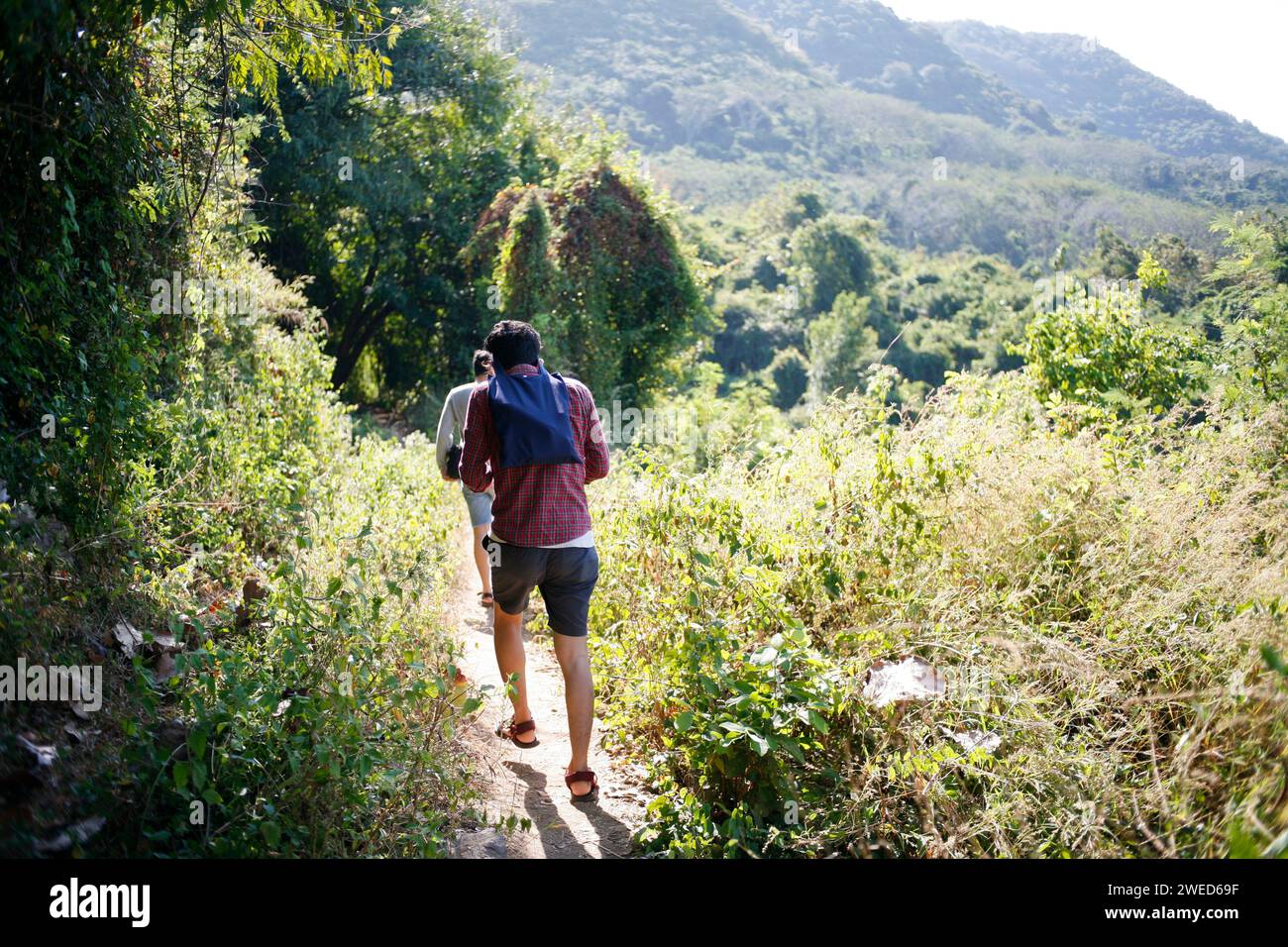 Rear view of two asian young men walking and exploring in the forest ...
