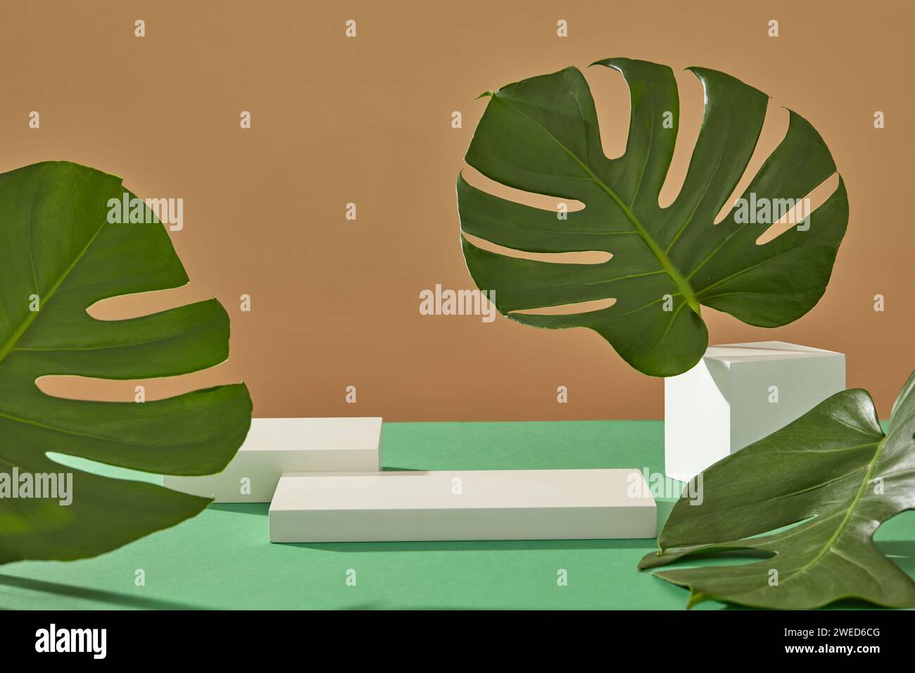 Rectangle and cube-shaped podiums displayed with monstera leaves ...
