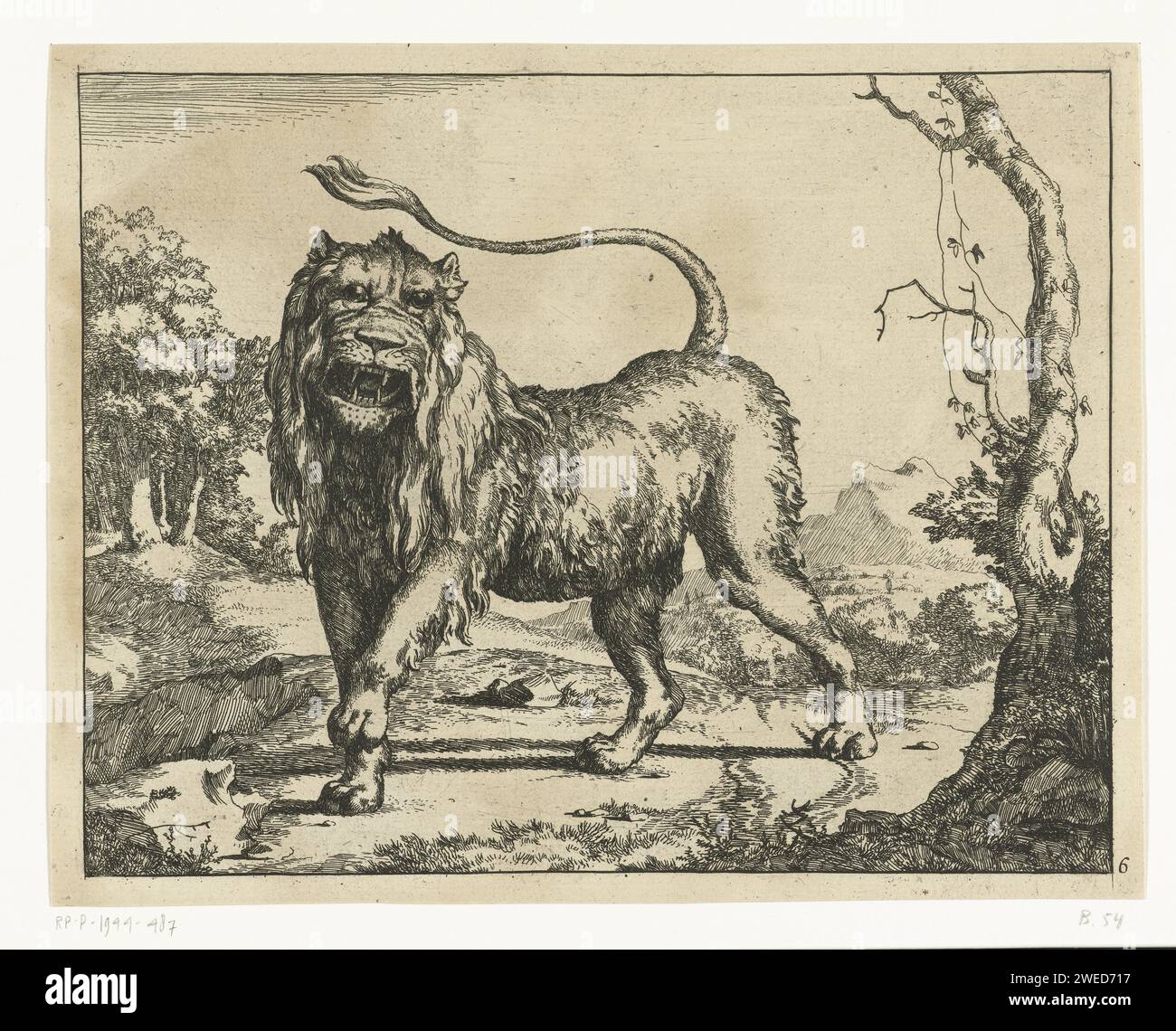 Roaring lion, the tail in the air, Marcus de Bye, After Paulus Potter ...