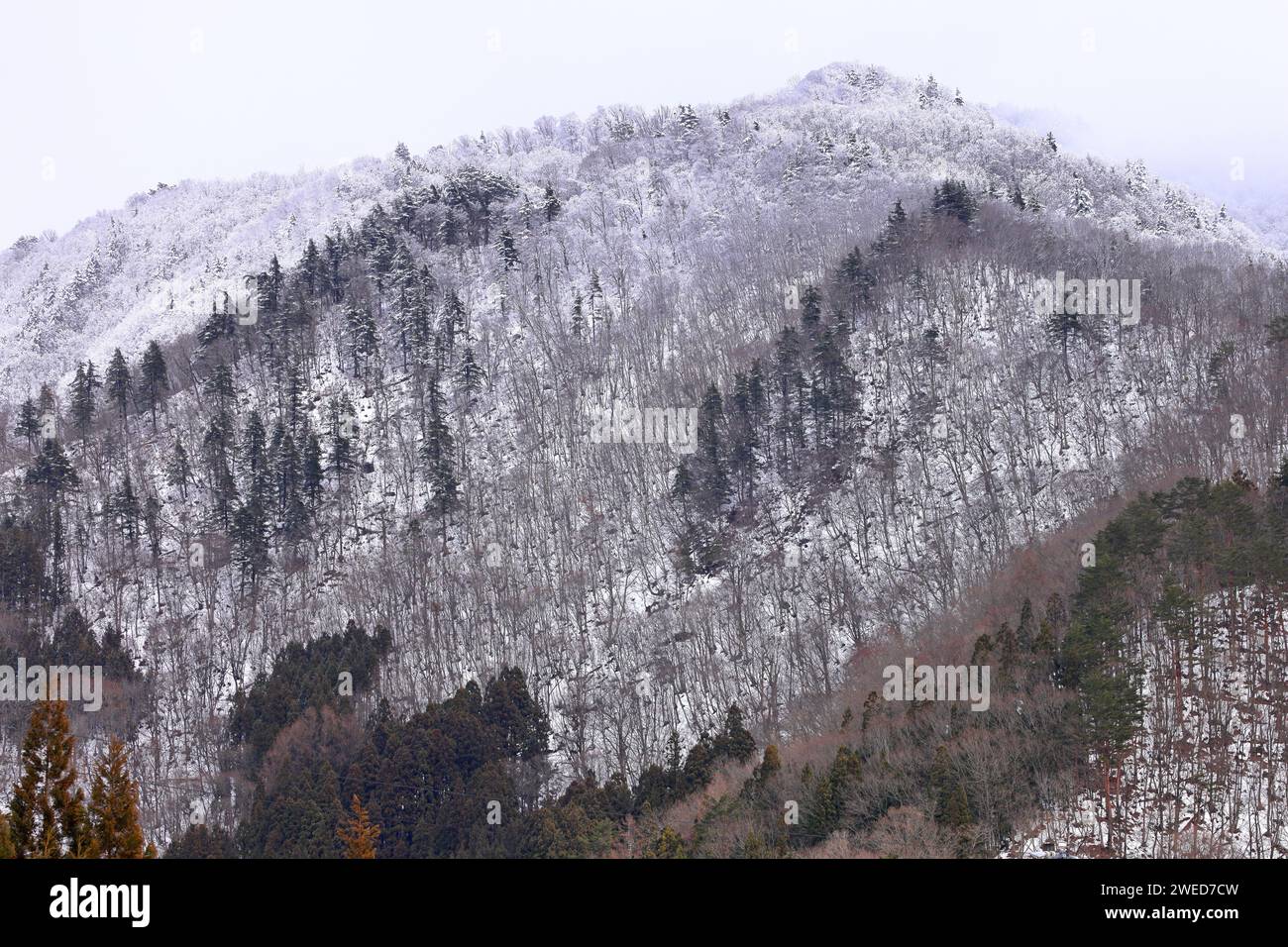 Mountains near village of Shirakawa-go located in Gifu Prefecture ...