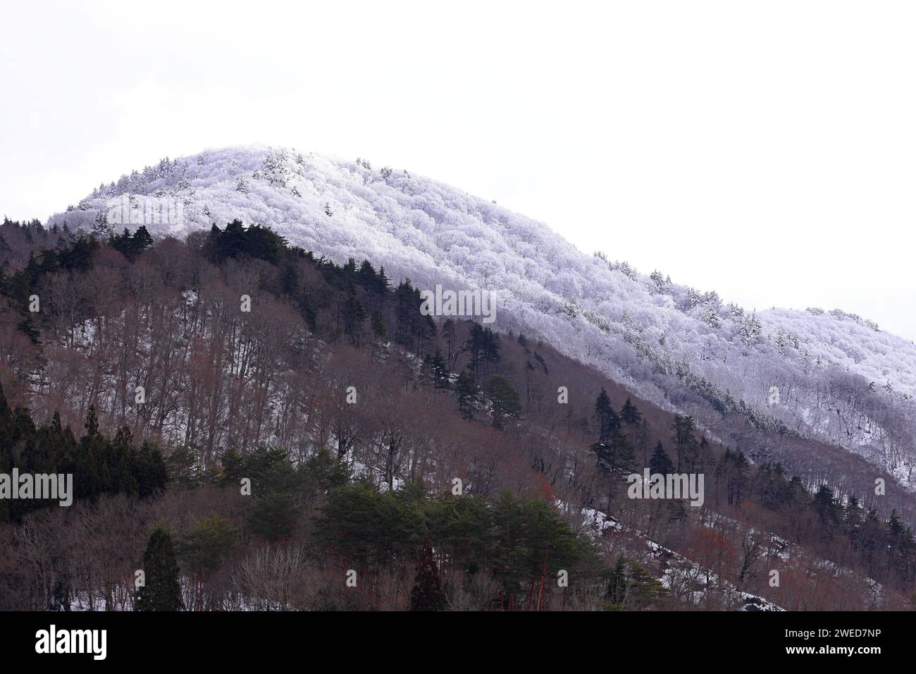 Mountains near village of Shirakawa-go located in Gifu Prefecture ...