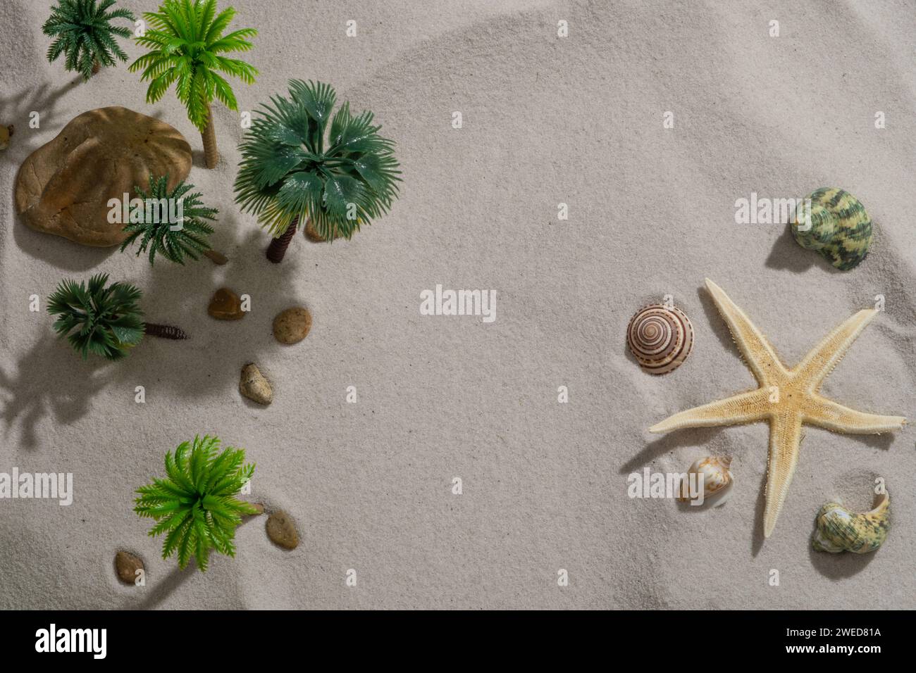 Dark and light green palm trees arranged on beach sand background with ...