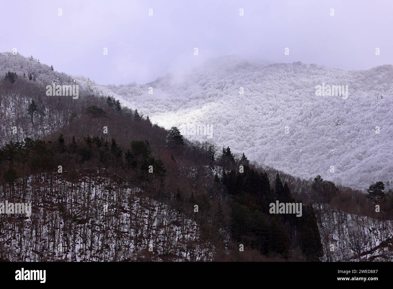 Mountains near village of Shirakawa-go located in Gifu Prefecture ...