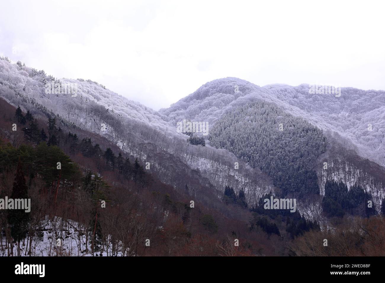 Mountains near village of Shirakawa-go located in Gifu Prefecture ...