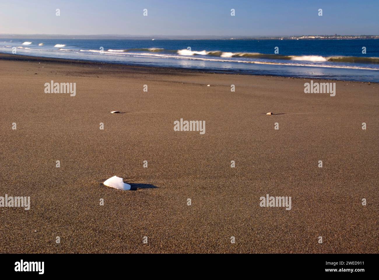 Beach, Damon Point State Park, Washington Stock Photo - Alamy