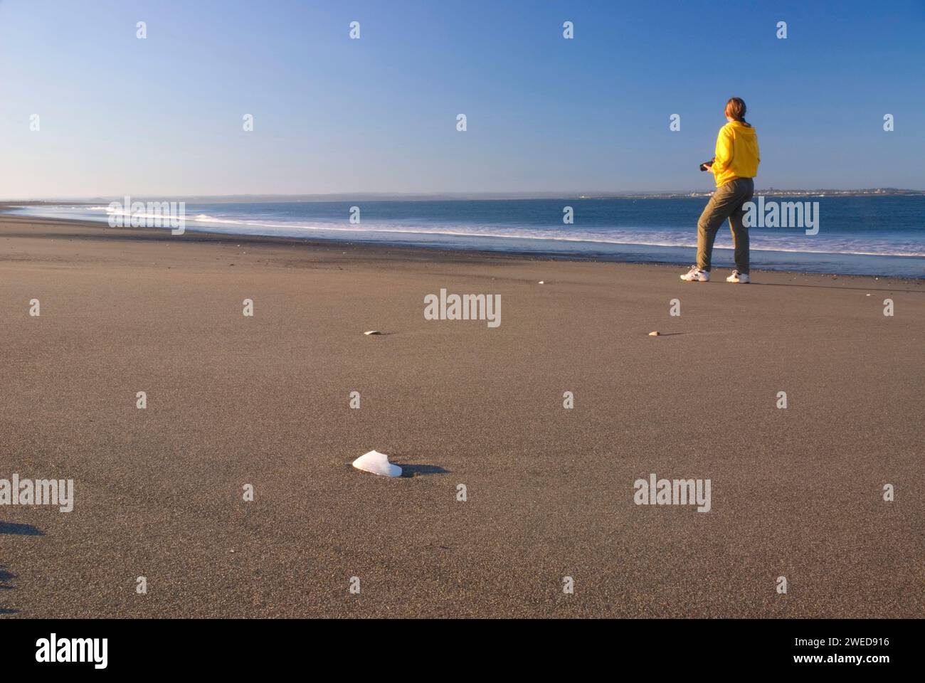 Beach, Damon Point State Park, Washington Stock Photo - Alamy