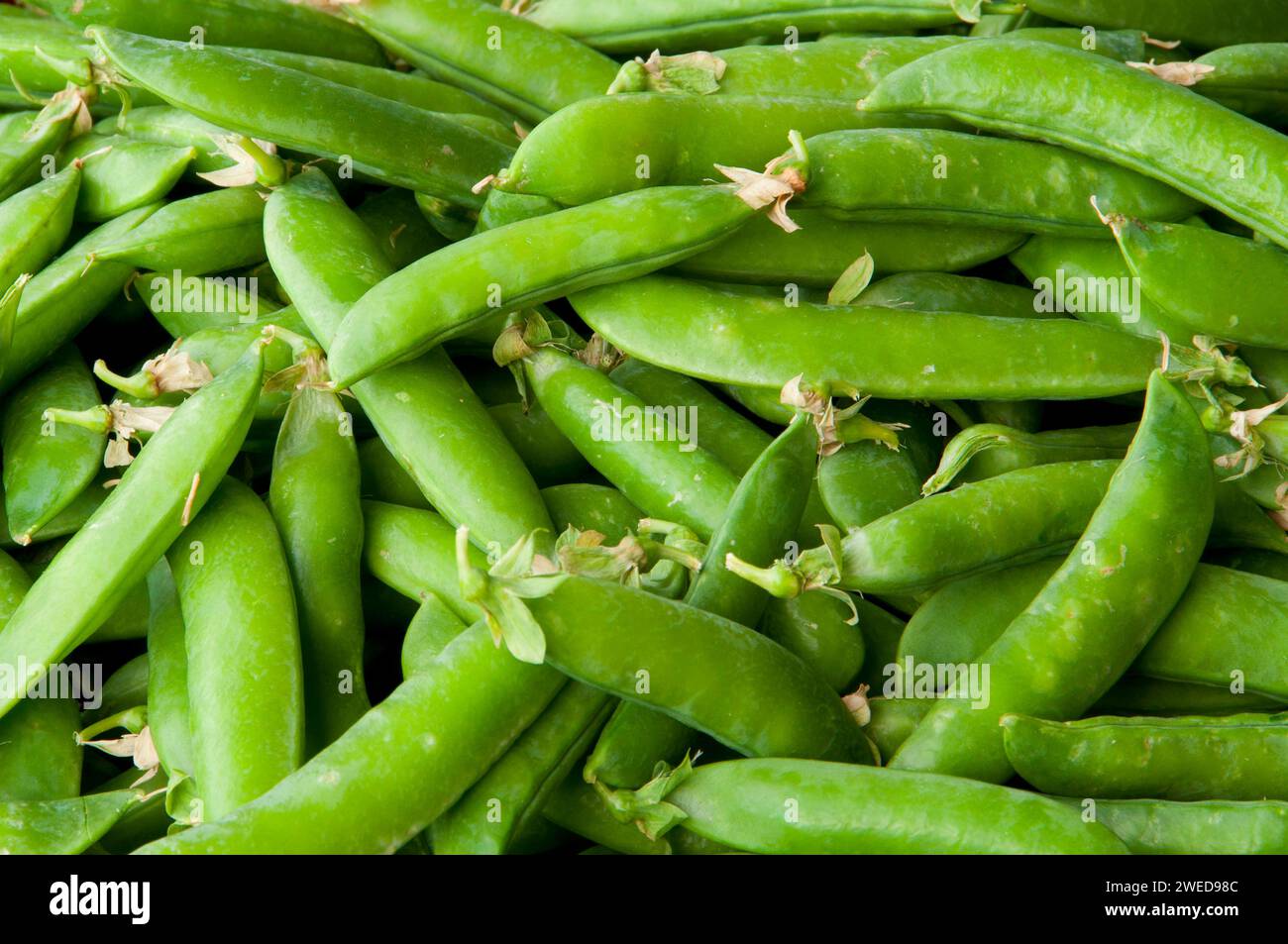 English produce market hi-res stock photography and images - Alamy