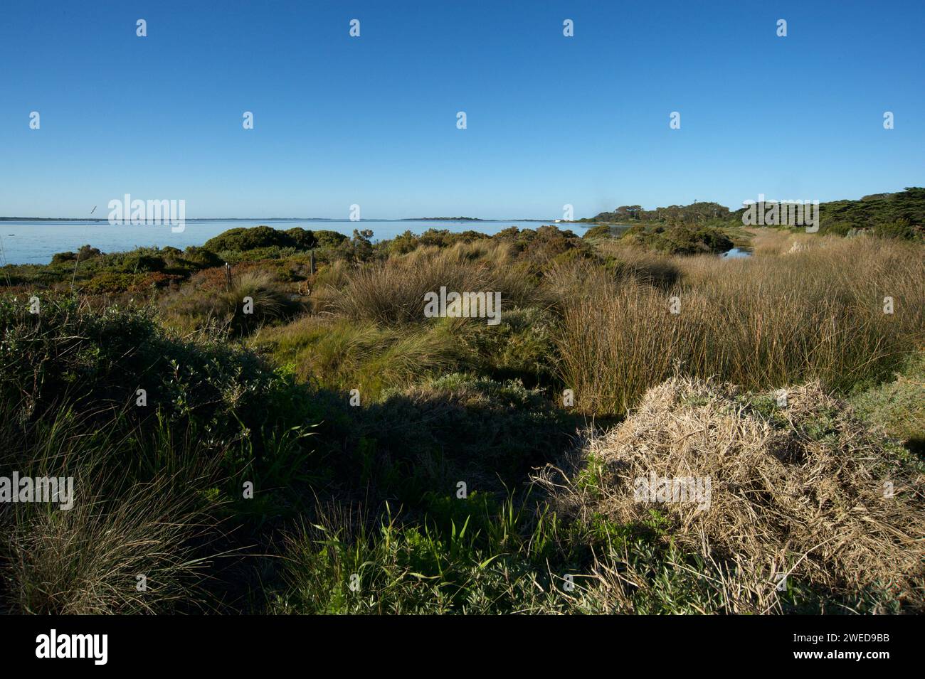 Swan Bay is a nature reserve and lagoon, on the Bellarine Peninsula ...