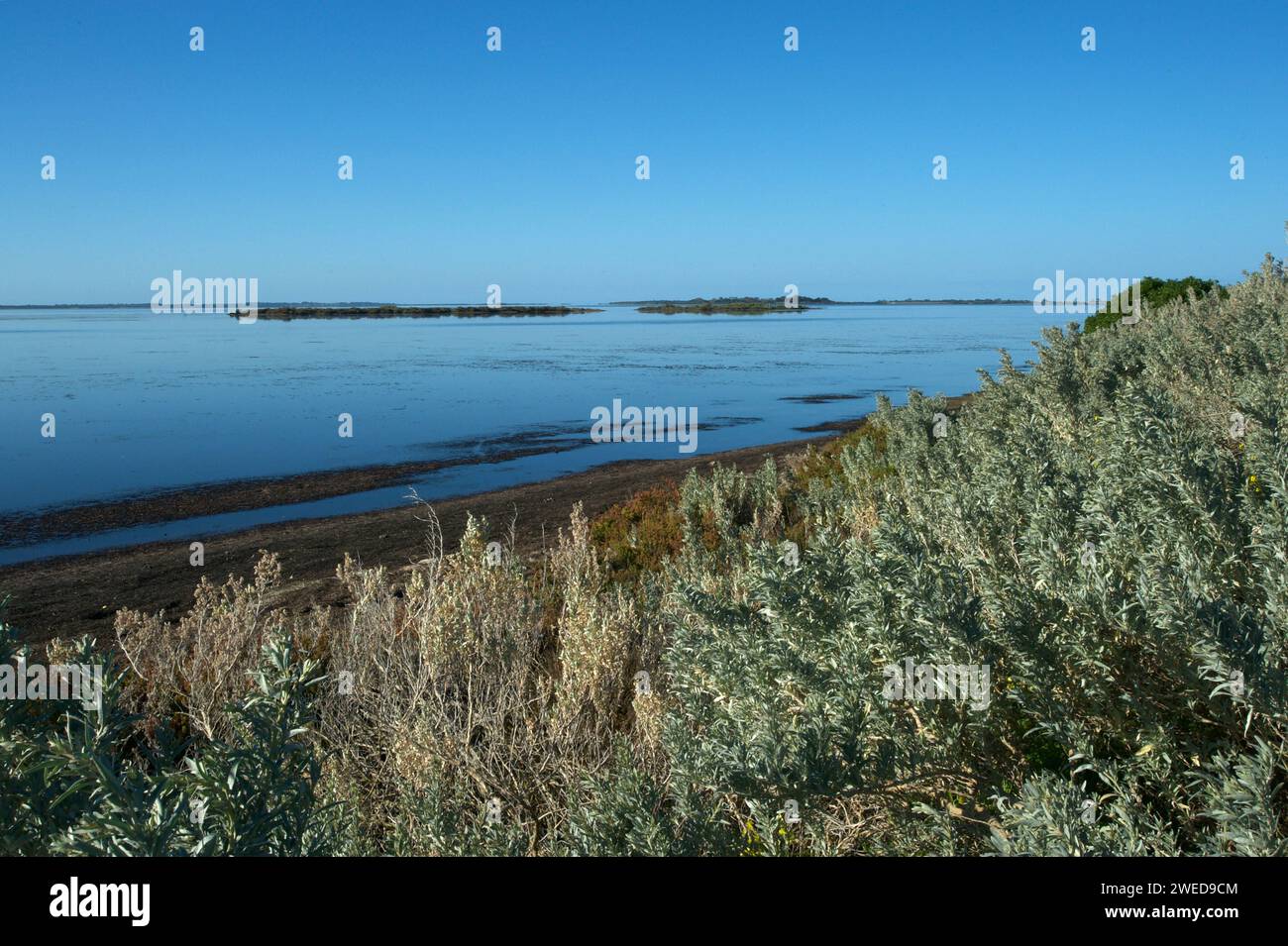 Swan Bay is a nature reserve and lagoon, on the Bellarine Peninsula ...