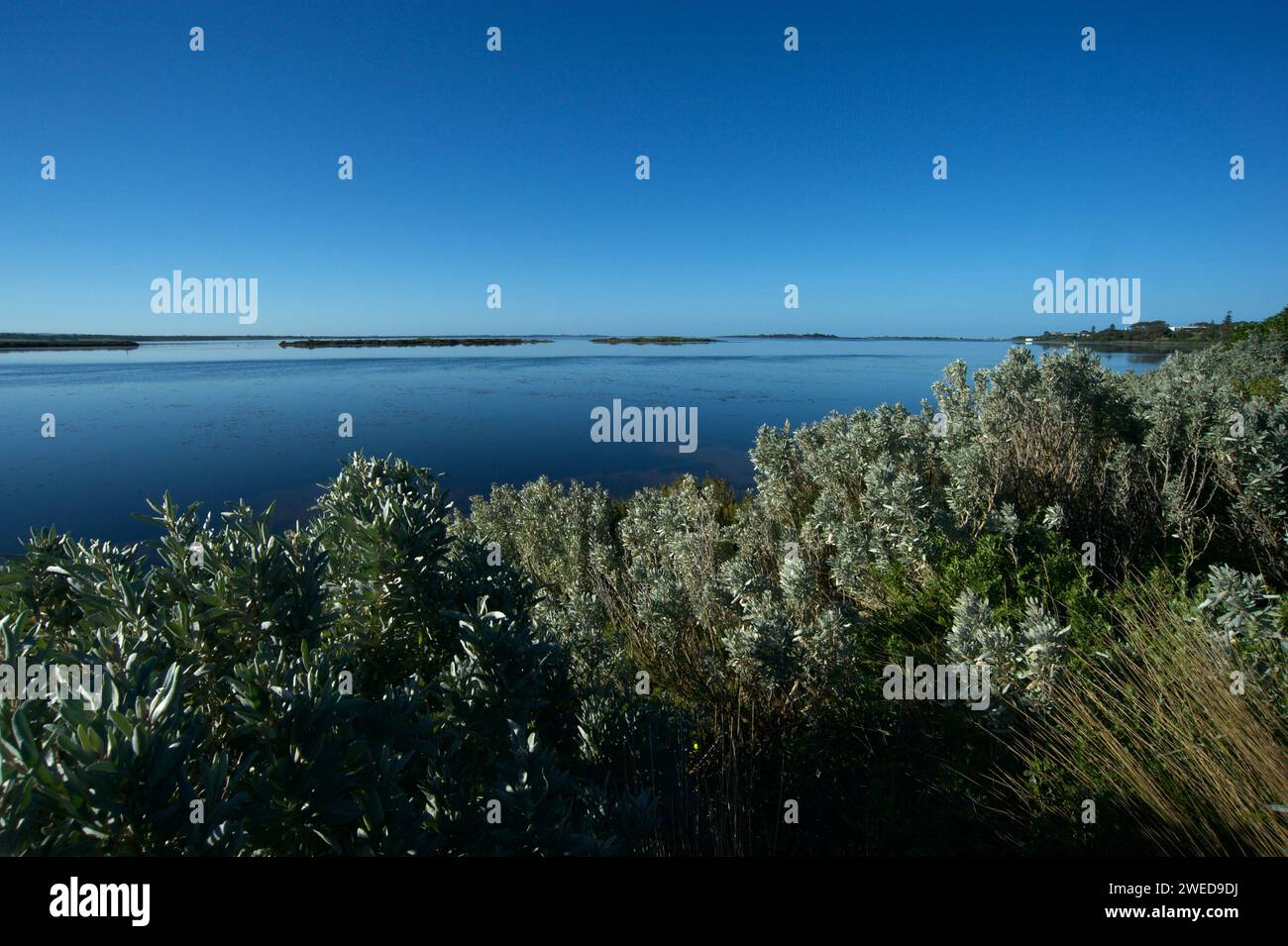 Swan Bay is a nature reserve and lagoon, on the Bellarine Peninsula ...