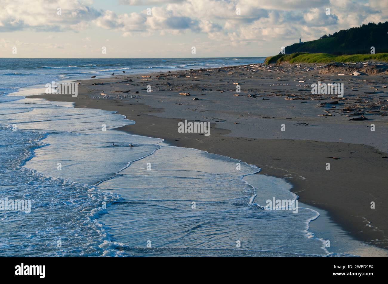 North Jetty Beach to North Head, Cape Disappointment State Park, Lewis ...