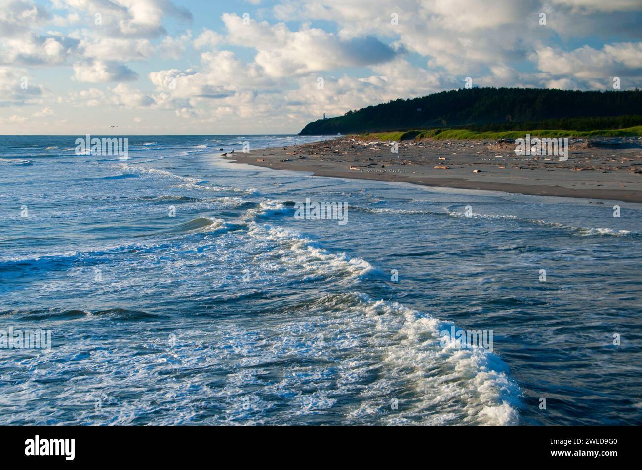 North Jetty Beach to North Head, Cape Disappointment State Park, Lewis ...