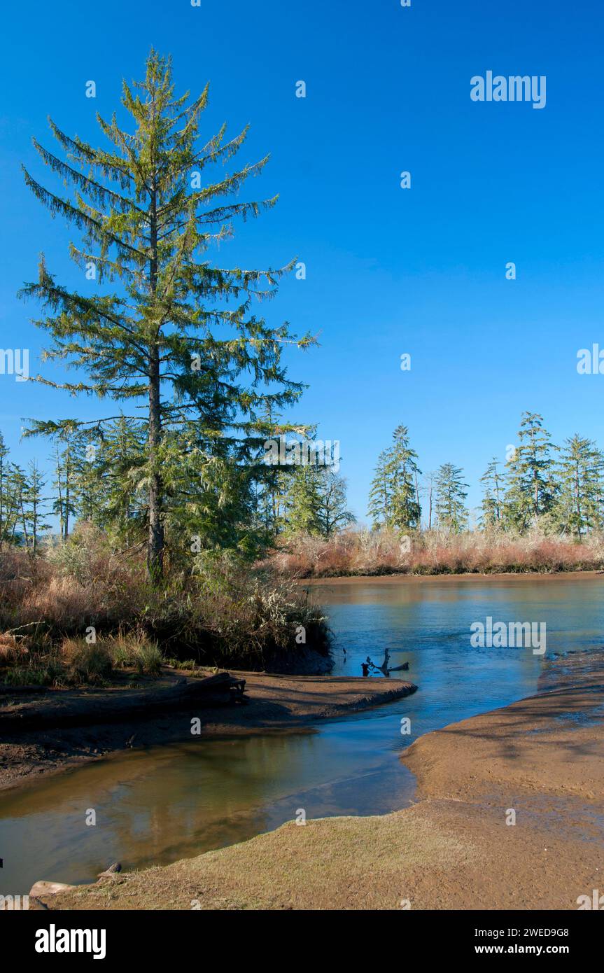 Steamboat Slough, Julia Butler Hansen Refuge for the Columbian White ...