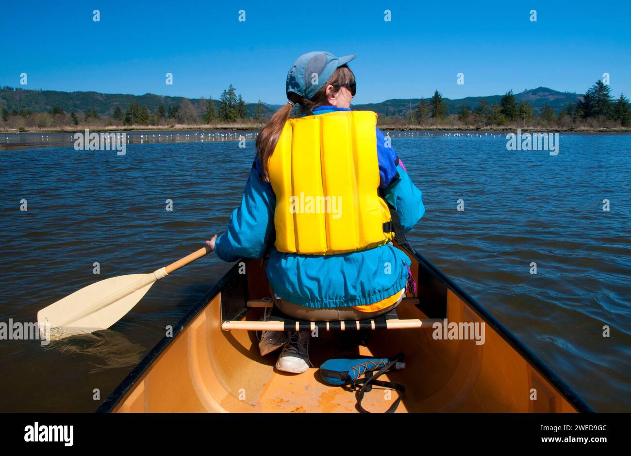 Canoeing on the Columbia River at Steamboat Slough, Julia Butler Hansen ...