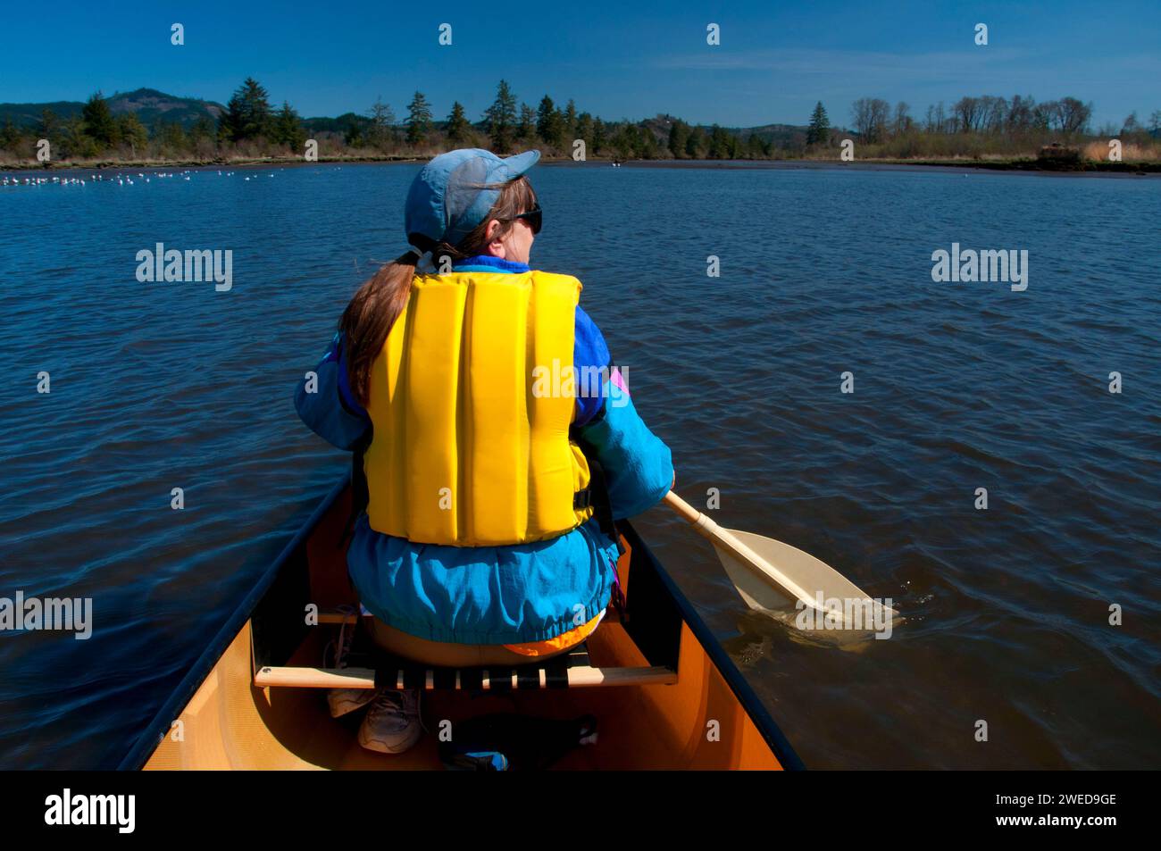 Canoeing on the Columbia River at Steamboat Slough, Julia Butler Hansen ...