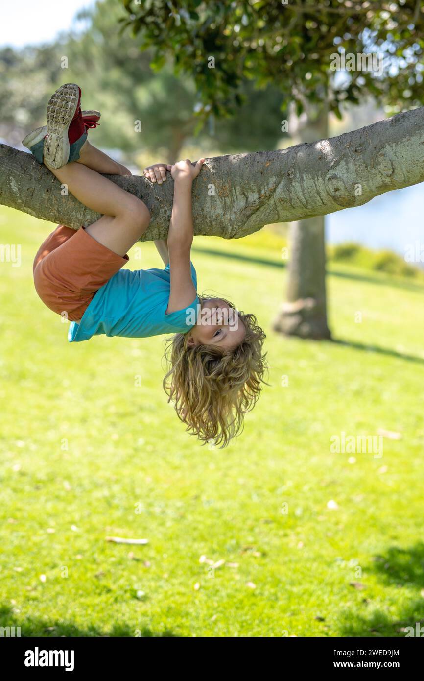 Kid climbing on a tree branch. Child climbs a tree Stock Photo - Alamy