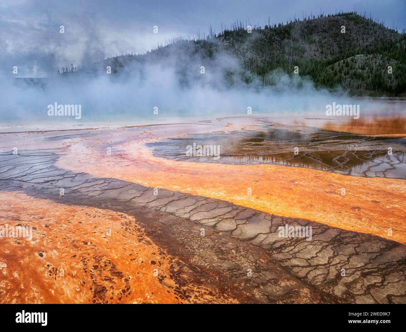 Grand Prismatic Spring, Yellowstone National Park Stock Photo - Alamy