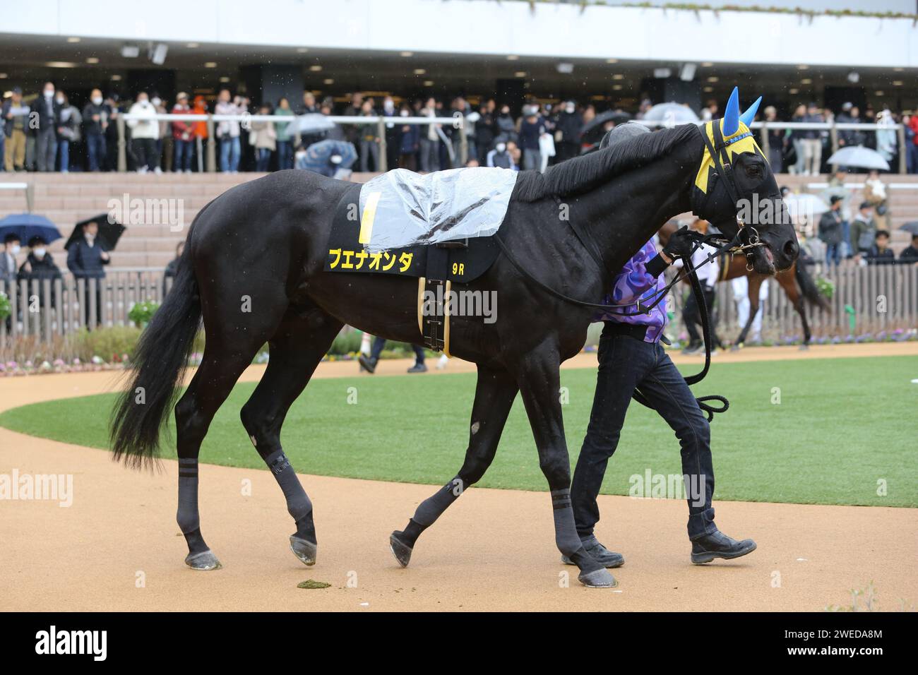 Kyoto, Japan. 20th Jan, 2024. Kyoto Racecourse in Kyoto, Japan, January ...