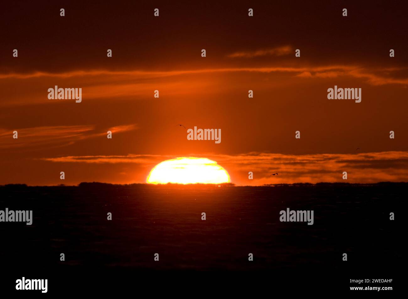 1002 area hi-res stock photography and images - Alamy