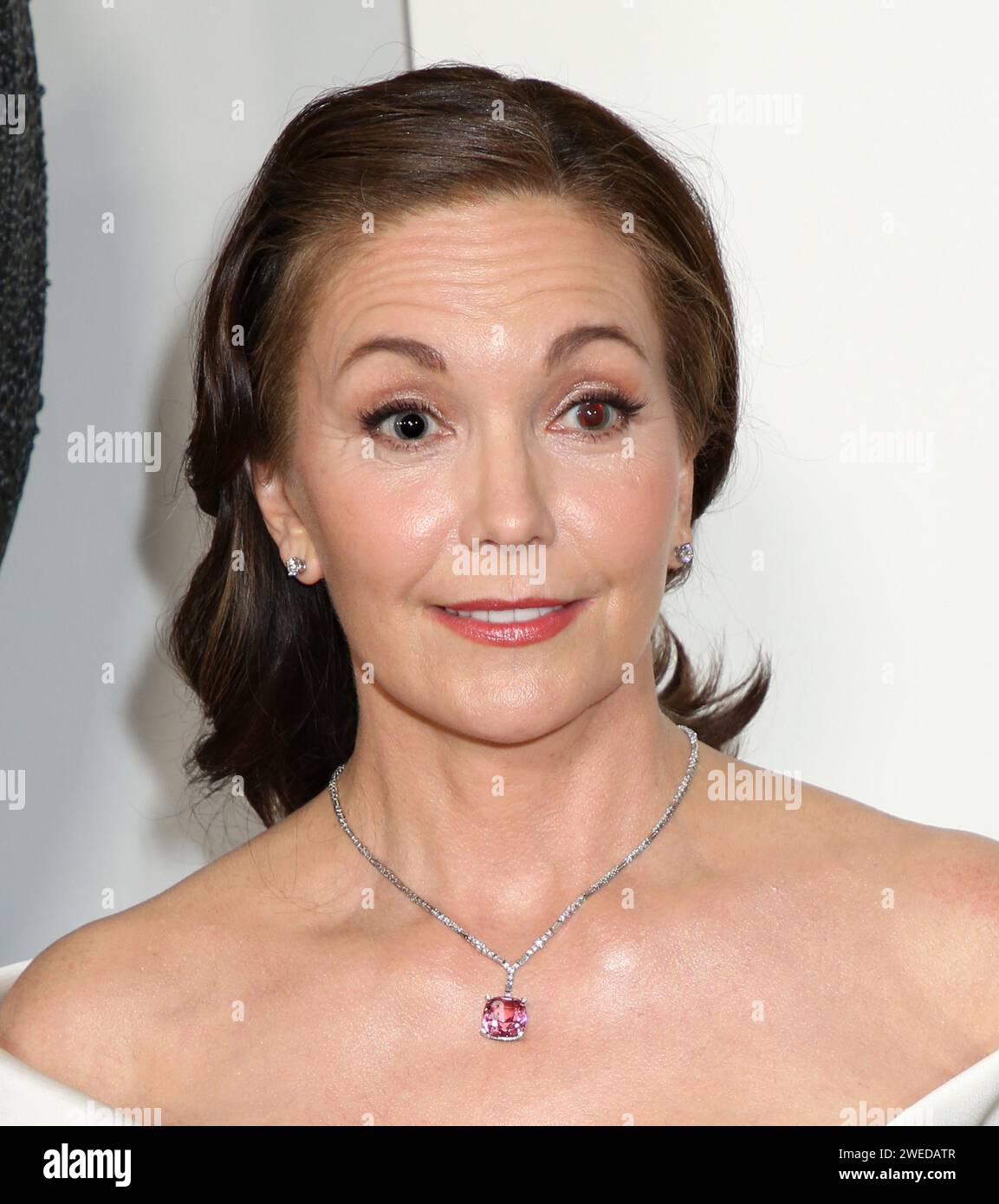 New York City, USA. 23rd Jan, 2024. Diane Lane attending FX's 'Feud ...