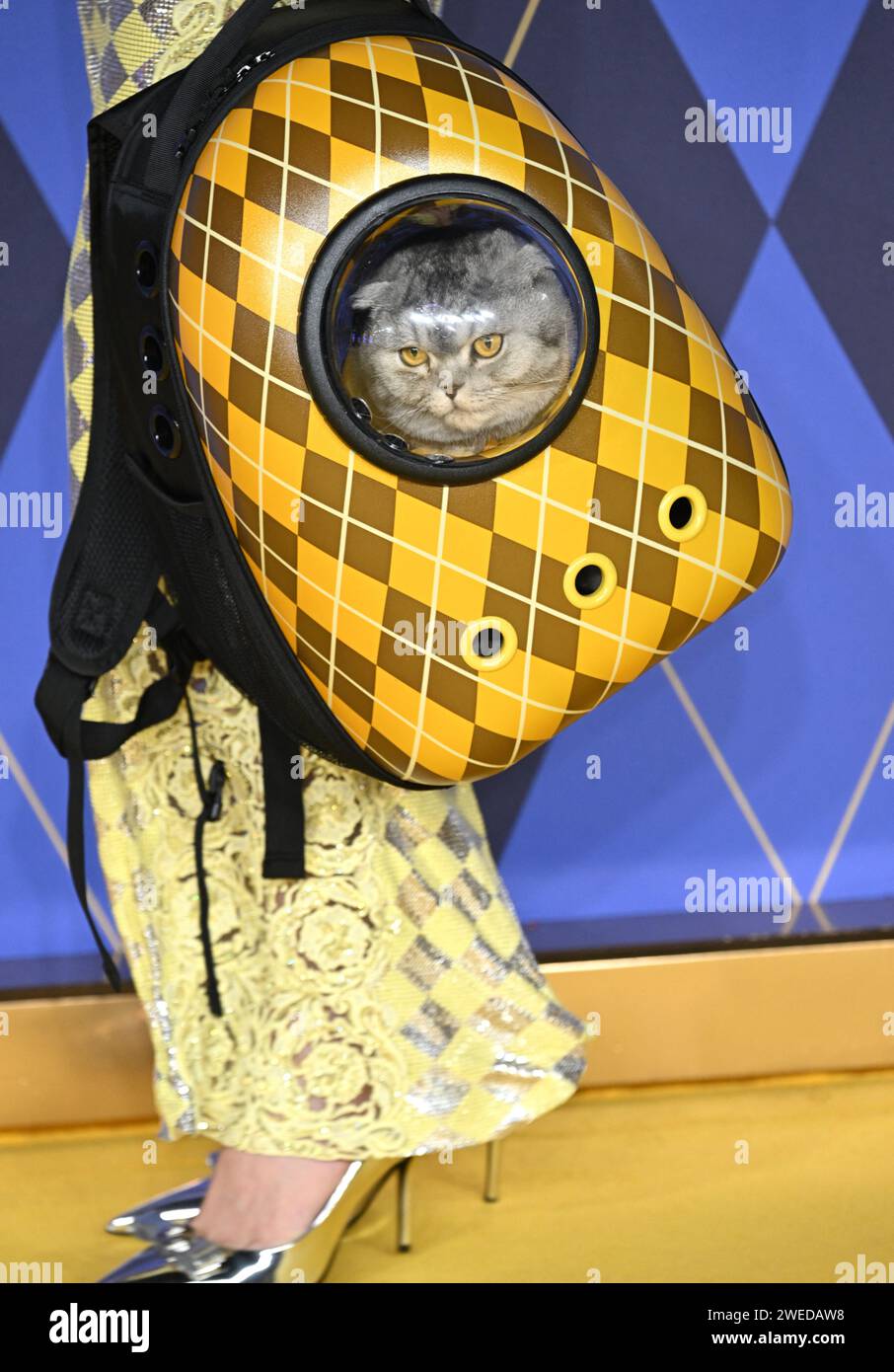 London, UK. 24th Jan, 2024. Claudia Schiffer and Chip the cat at the ...