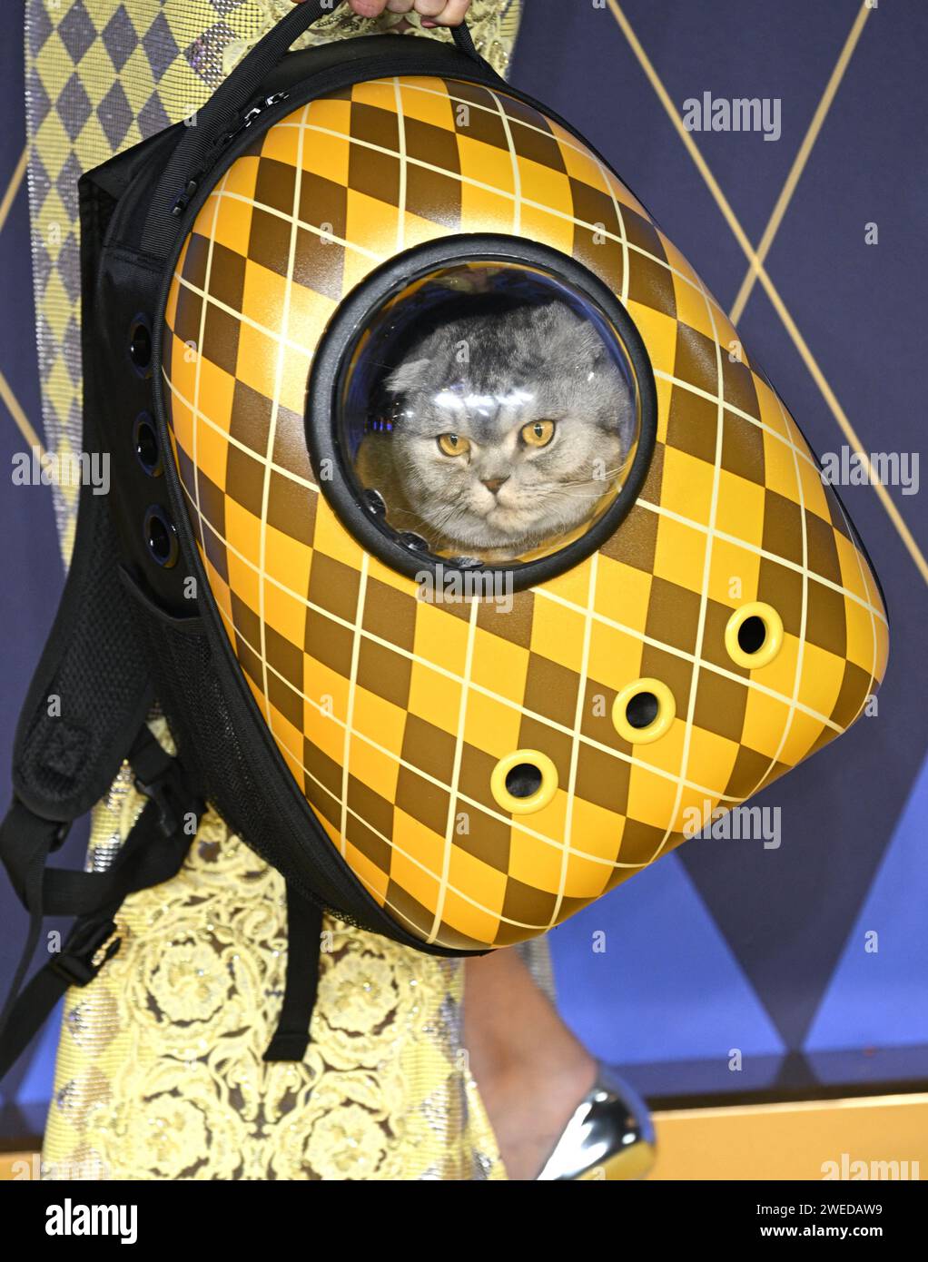 London, UK. 24th Jan, 2024. Claudia Schiffer and Chip the cat at the ...