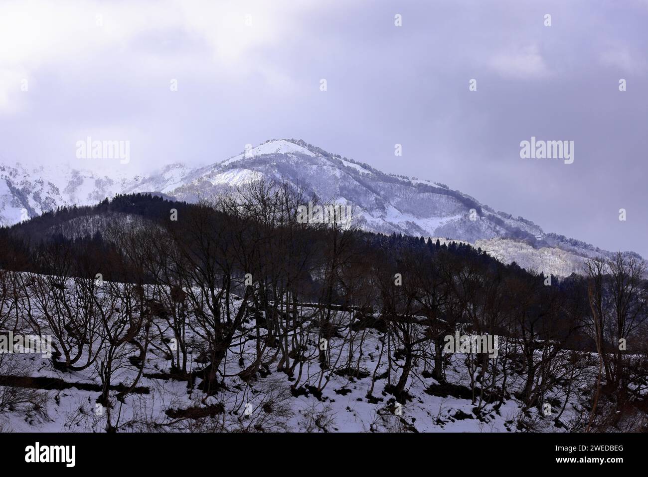 Mountains near village of Shirakawa-go located in Gifu Prefecture ...
