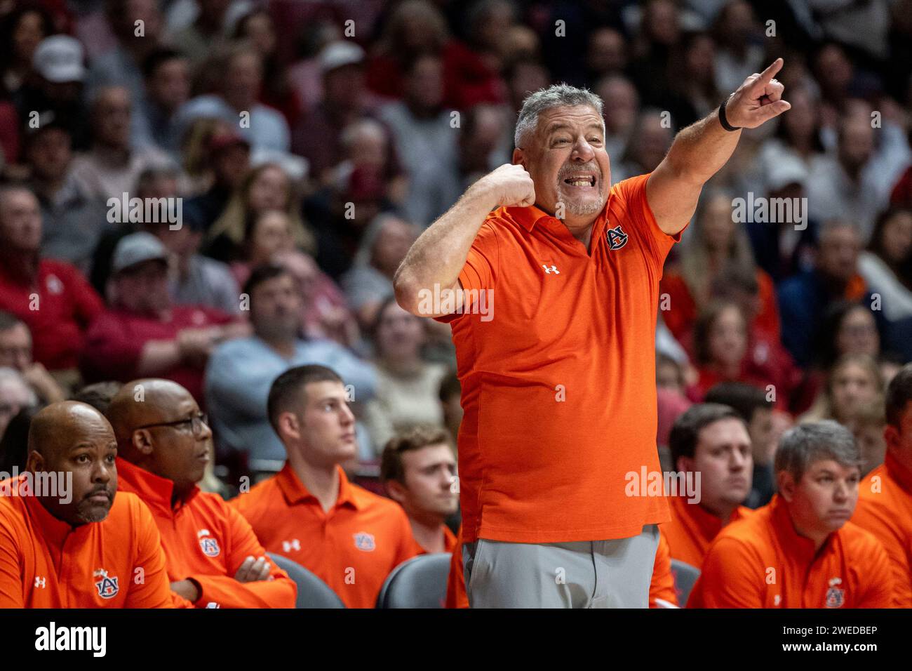 Auburn Head Coach Bruce Pearl Coaches His Players Against Alabama