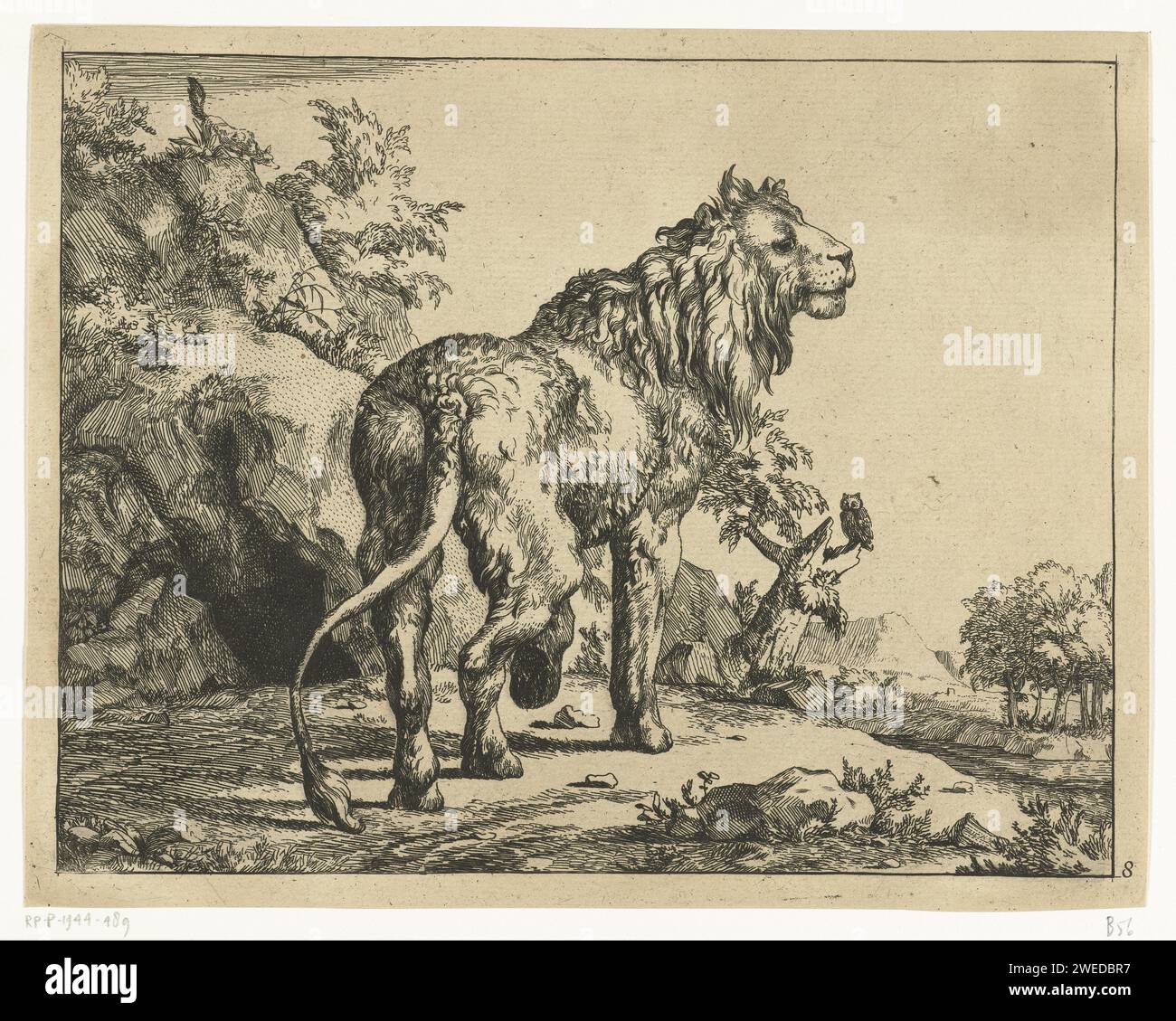 Standing lion, seen from behind, the head aside, Marcus de Bye, After ...