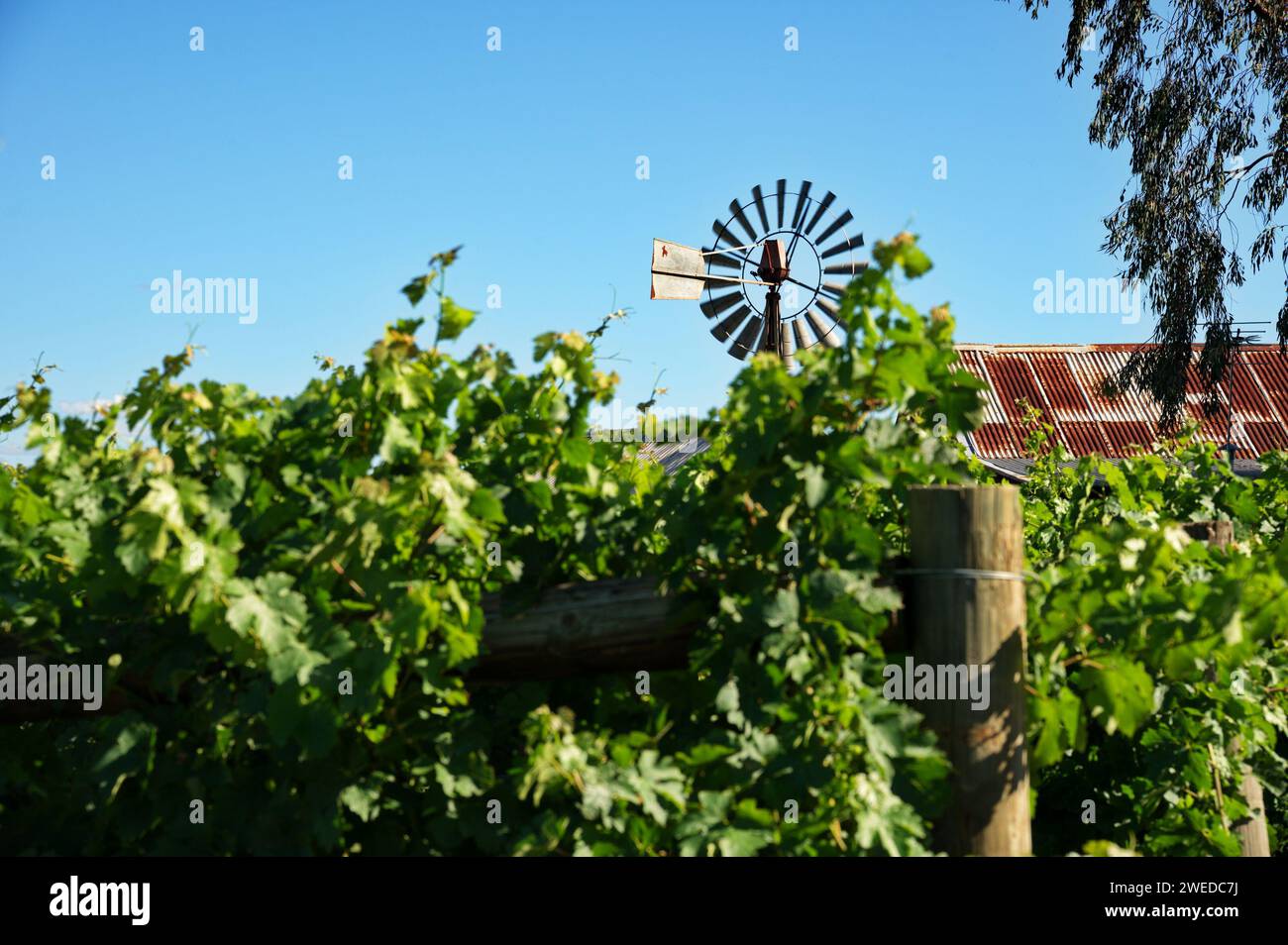 Wind direction indicator on a house roof hi-res stock photography and ...