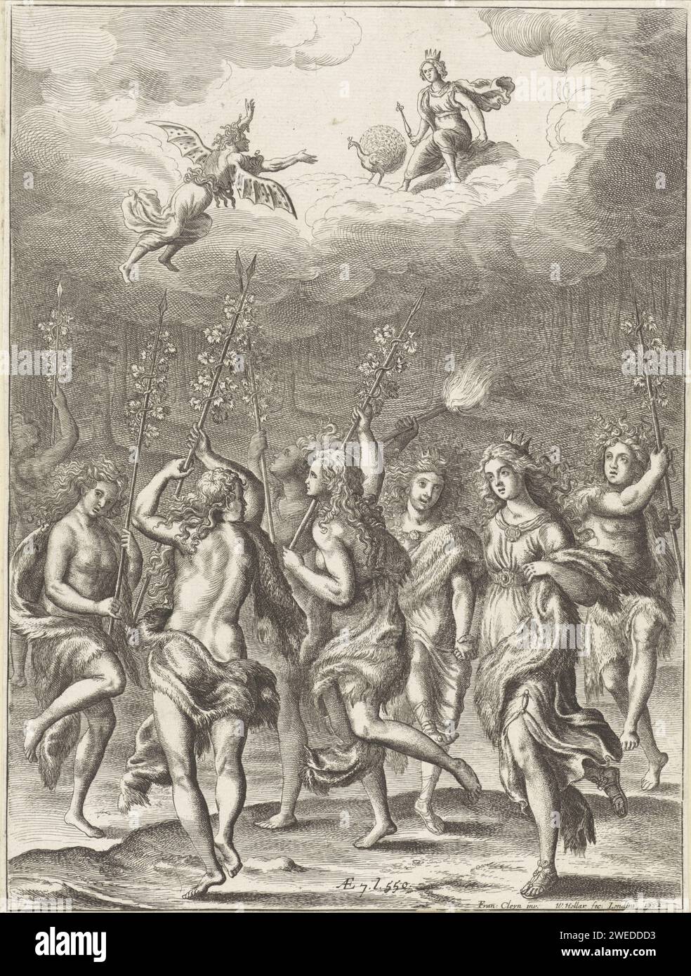 Lavinia flies hi-res stock photography and images - Alamy