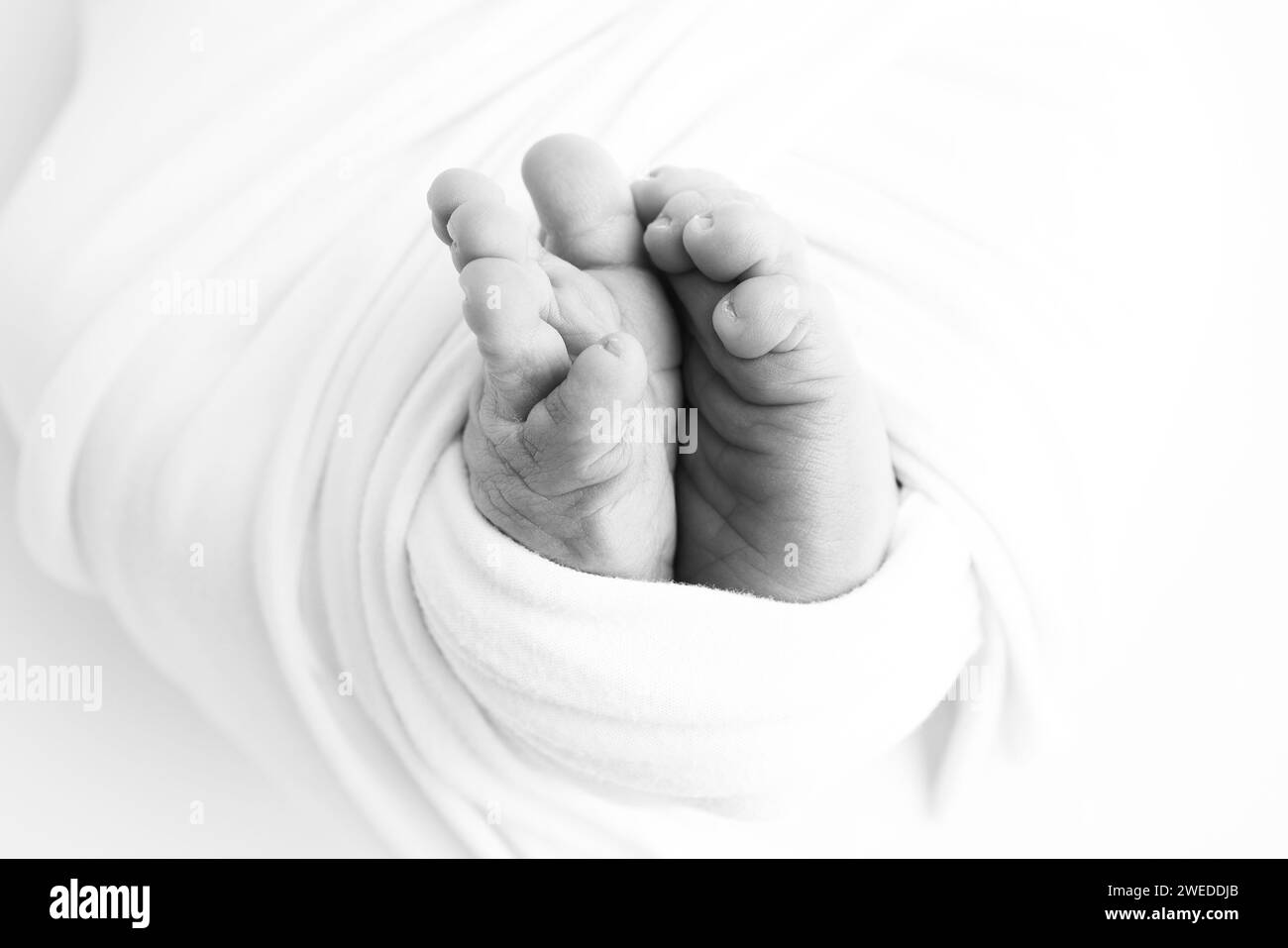 Newborn Black Baby Feet New Born Baby Black Child Hospital Hi Res