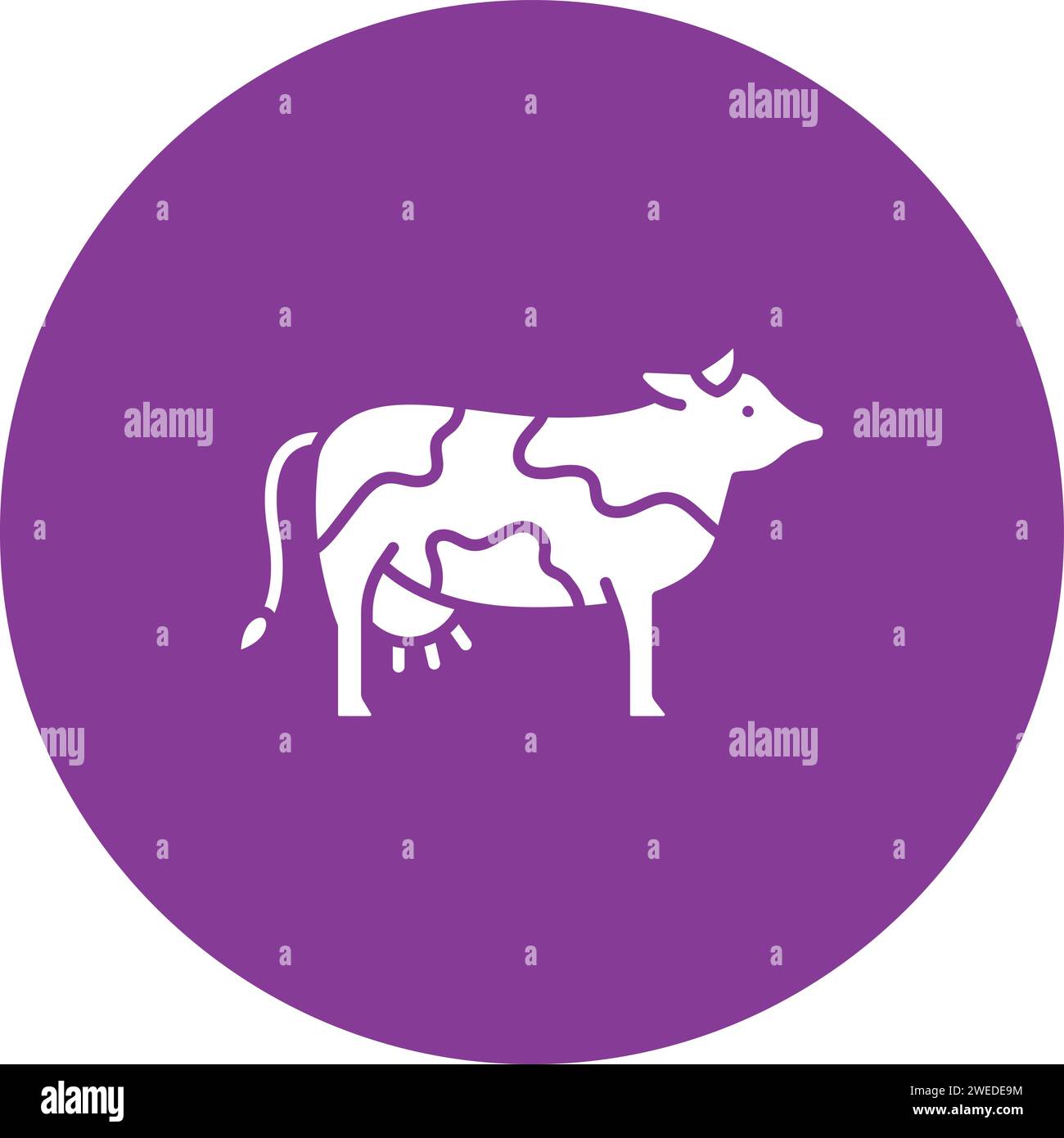 Cow icon vector image Stock Vector Image & Art - Alamy