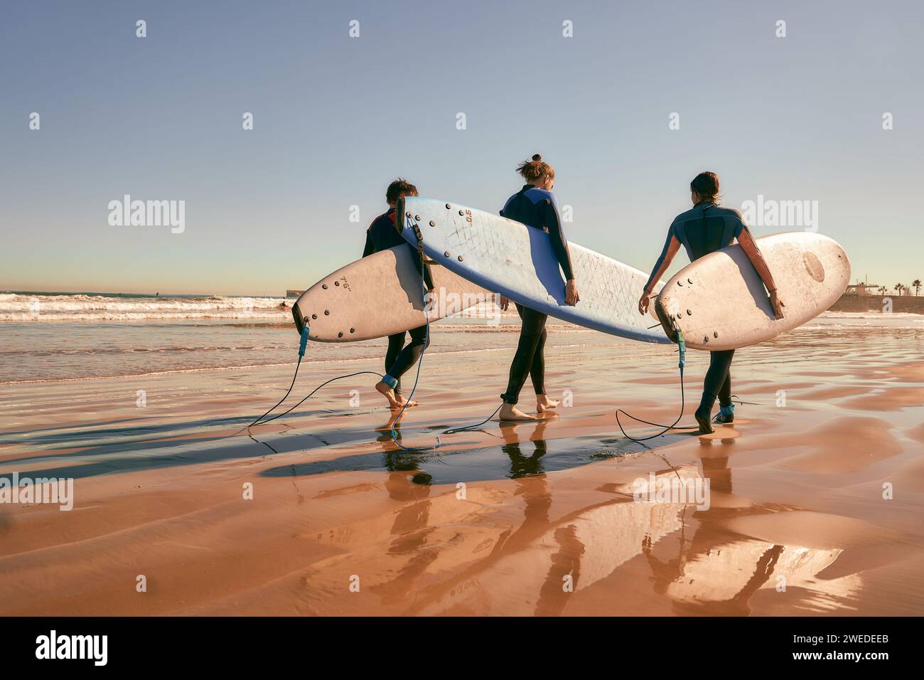 Group of surfers with surfboards in wetsuit are walking on the beach ...