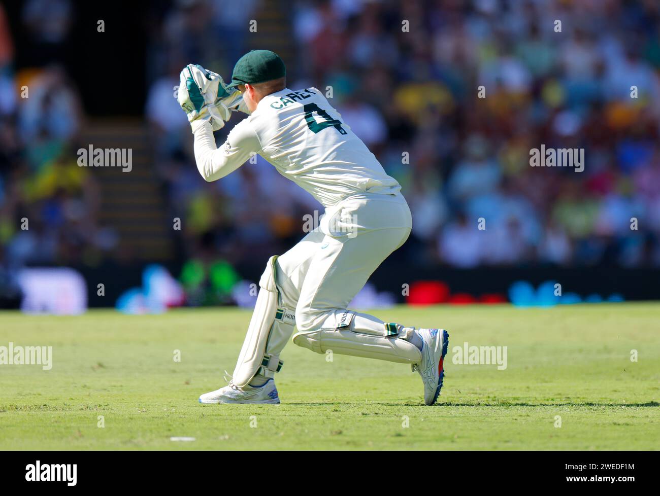 Brisbane, Australia. 25th Jan 2024. Alex Carey (4 Australia Wicket ...