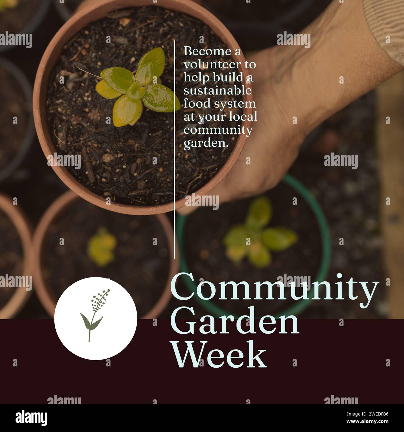 Composition of community garden week text over biracial man holding pot ...