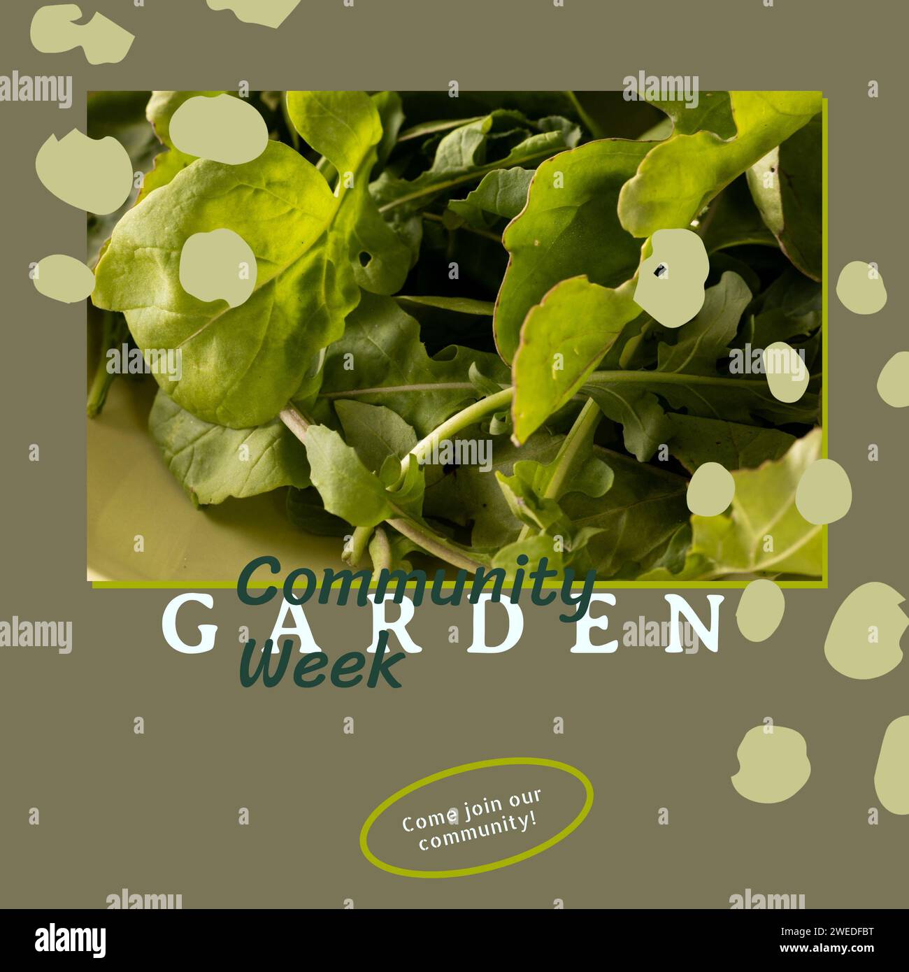 Composition of community garden week text over plant leaves Stock Photo ...