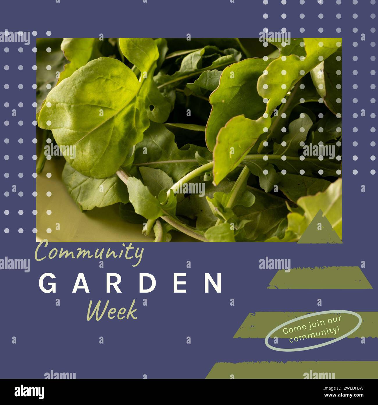 Composition of community garden week text over plant leaves Stock Photo ...