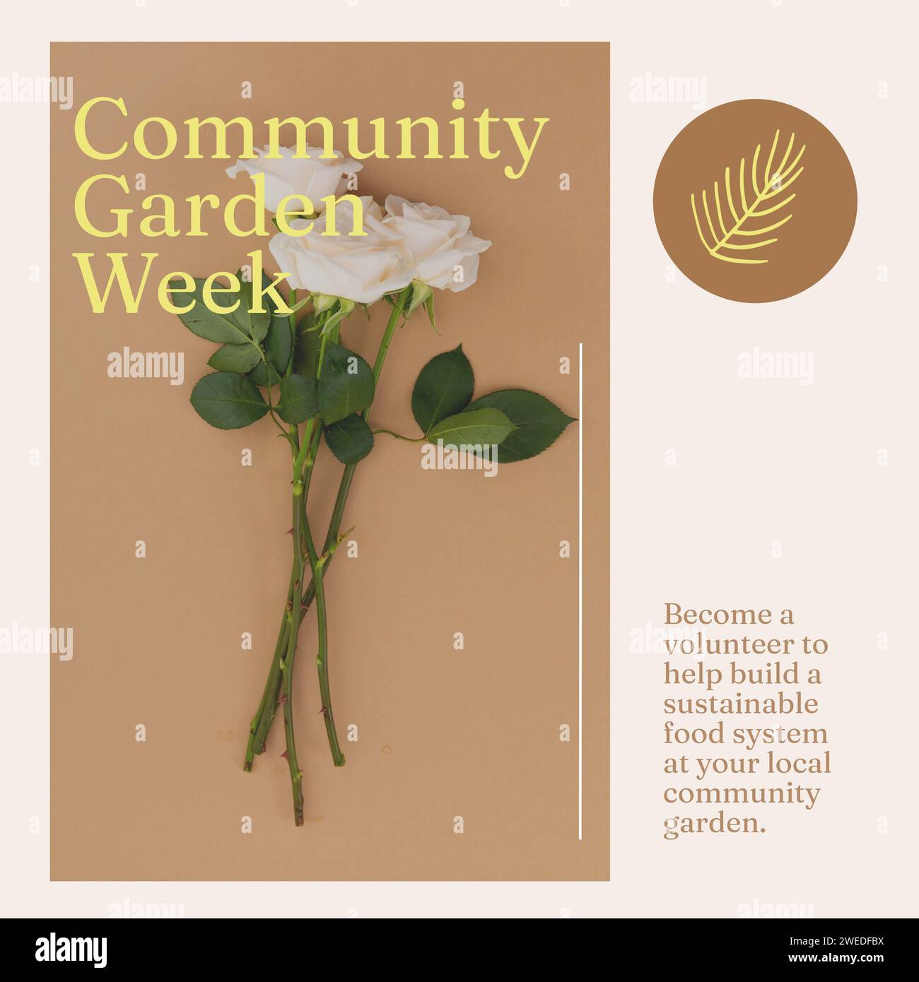 Composition of community garden week text over white roses Stock Photo ...