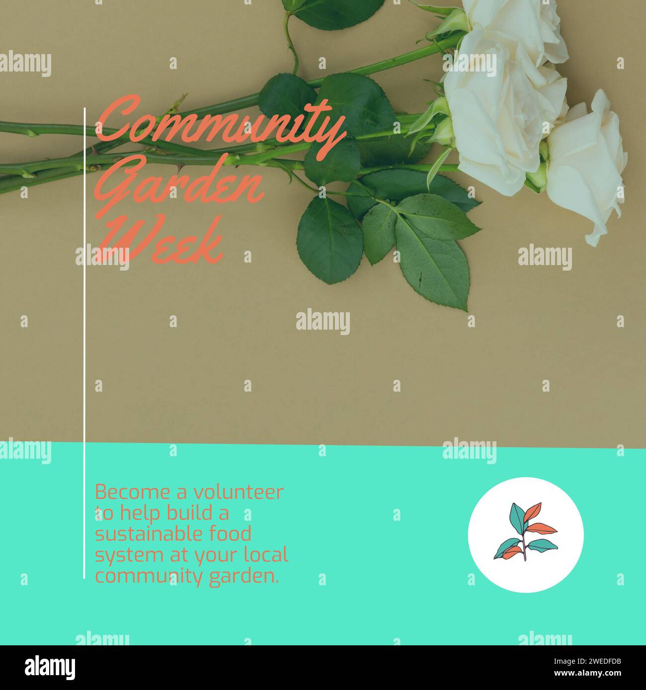 Composition of community garden week text over white roses Stock Photo ...