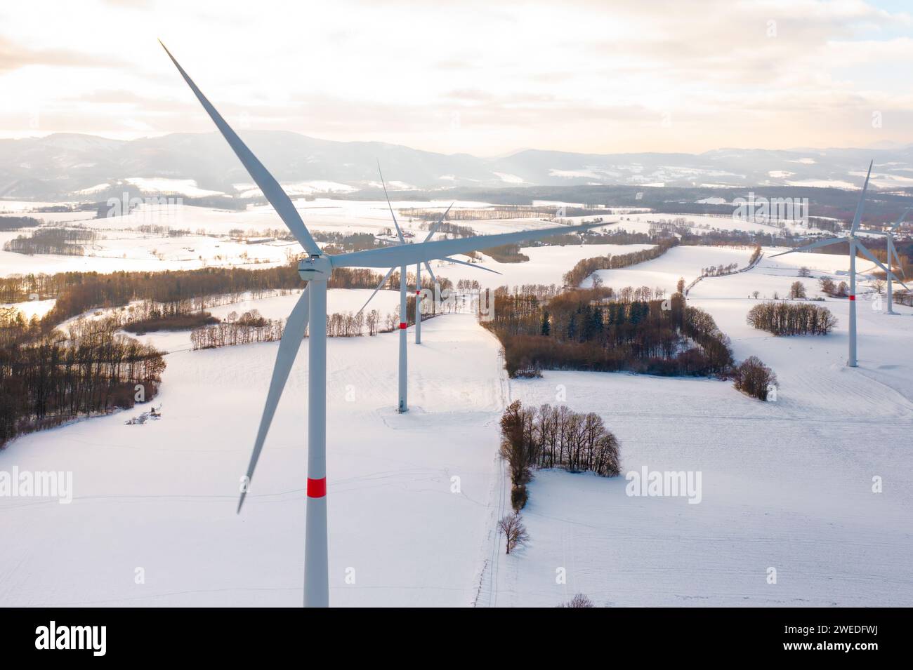 Amidst a frozen landscape with wind turbines, standing in the winter ...