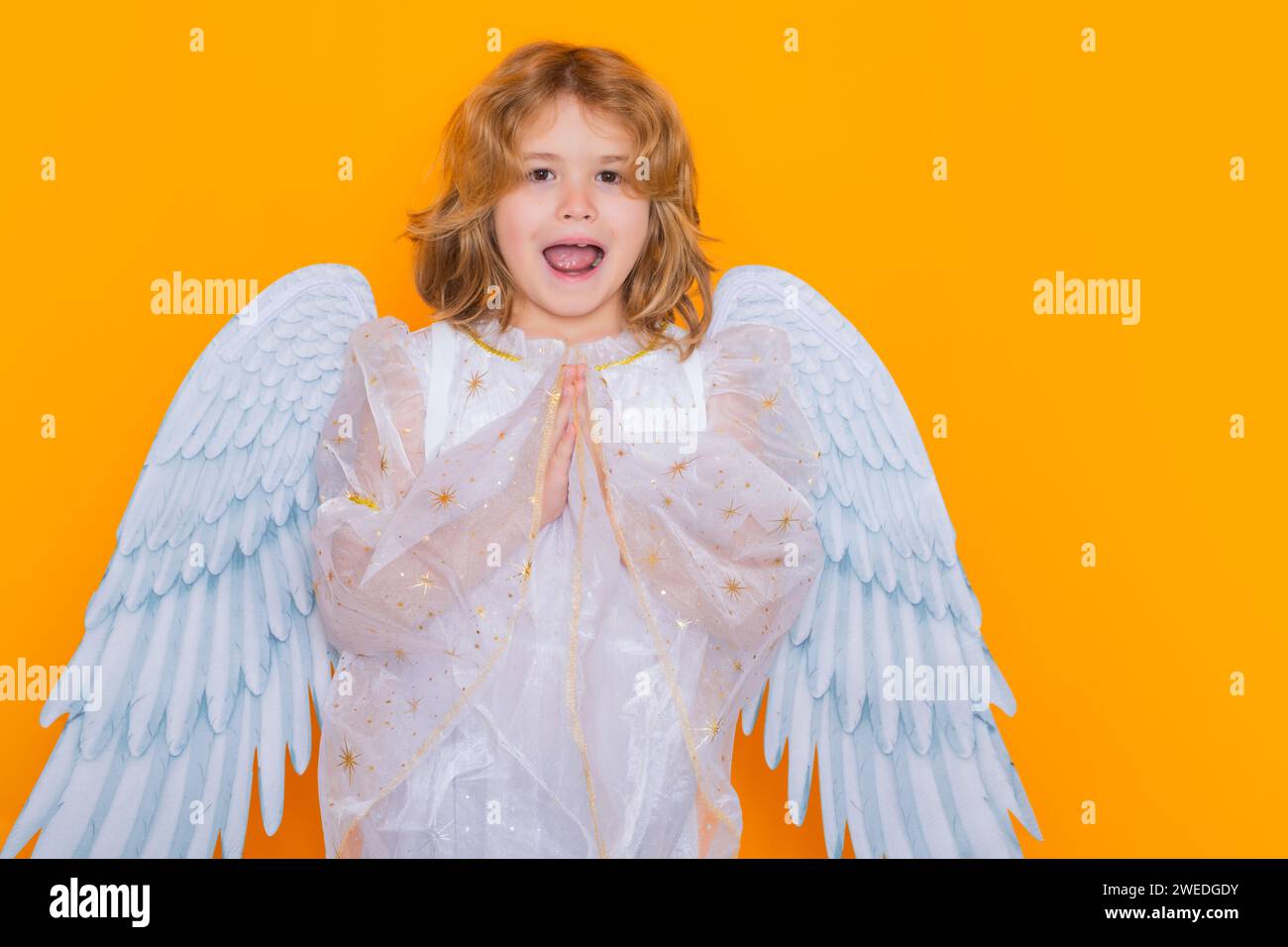 Cute angel child, studio portrait. Angel kid with angels wings ...