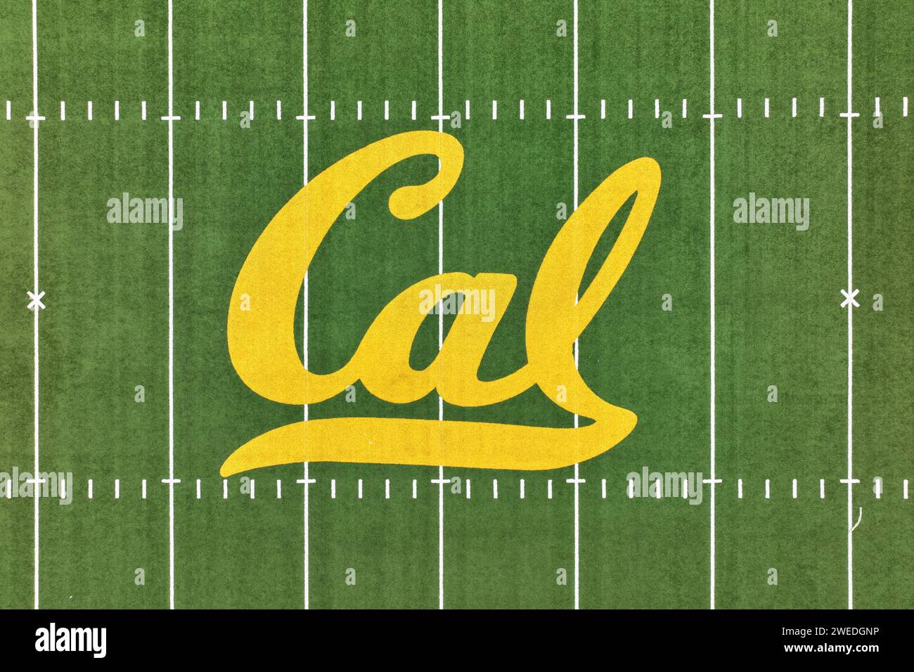 Cal Football Logo