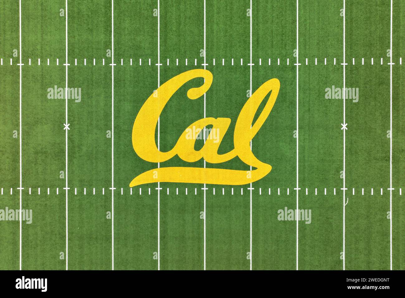 The California Golden Bears logo at midfield of California Memorial ...