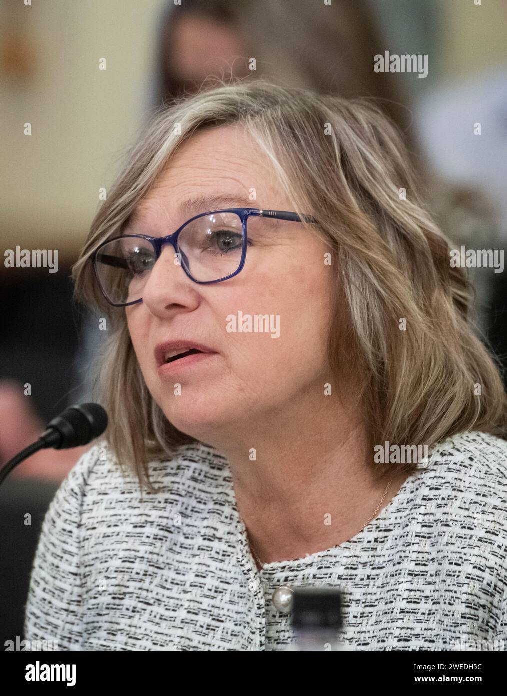 Washington, Vereinigte Staaten. 24th Jan, 2024. Theresa Hildreth ...