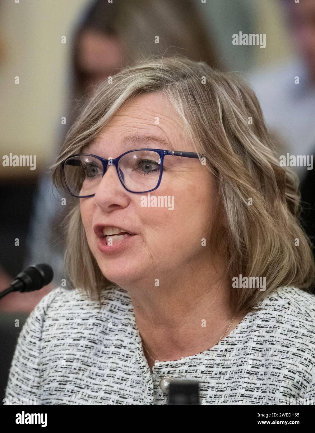 Washington, Vereinigte Staaten. 24th Jan, 2024. Theresa Hildreth ...