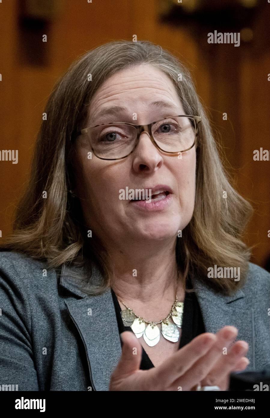 Washington, Vereinigte Staaten. 24th Jan, 2024. Dr. Andrea Dutton ...