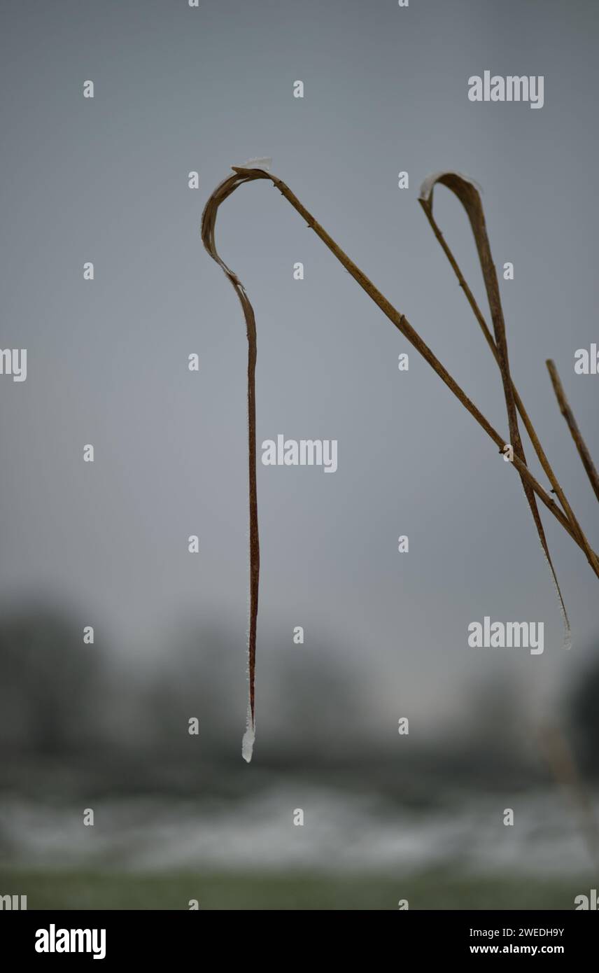 Inverted question mark hi-res stock photography and images - Alamy