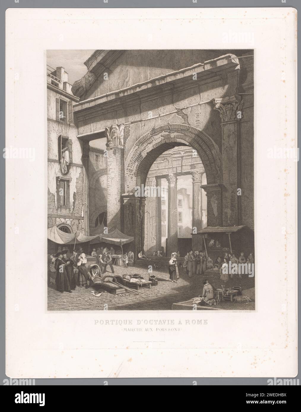 Porticus octavia hi-res stock photography and images - Alamy